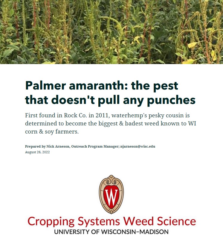 WiscWeeds.info - Wisconsin Palmer amaranth, where are you?